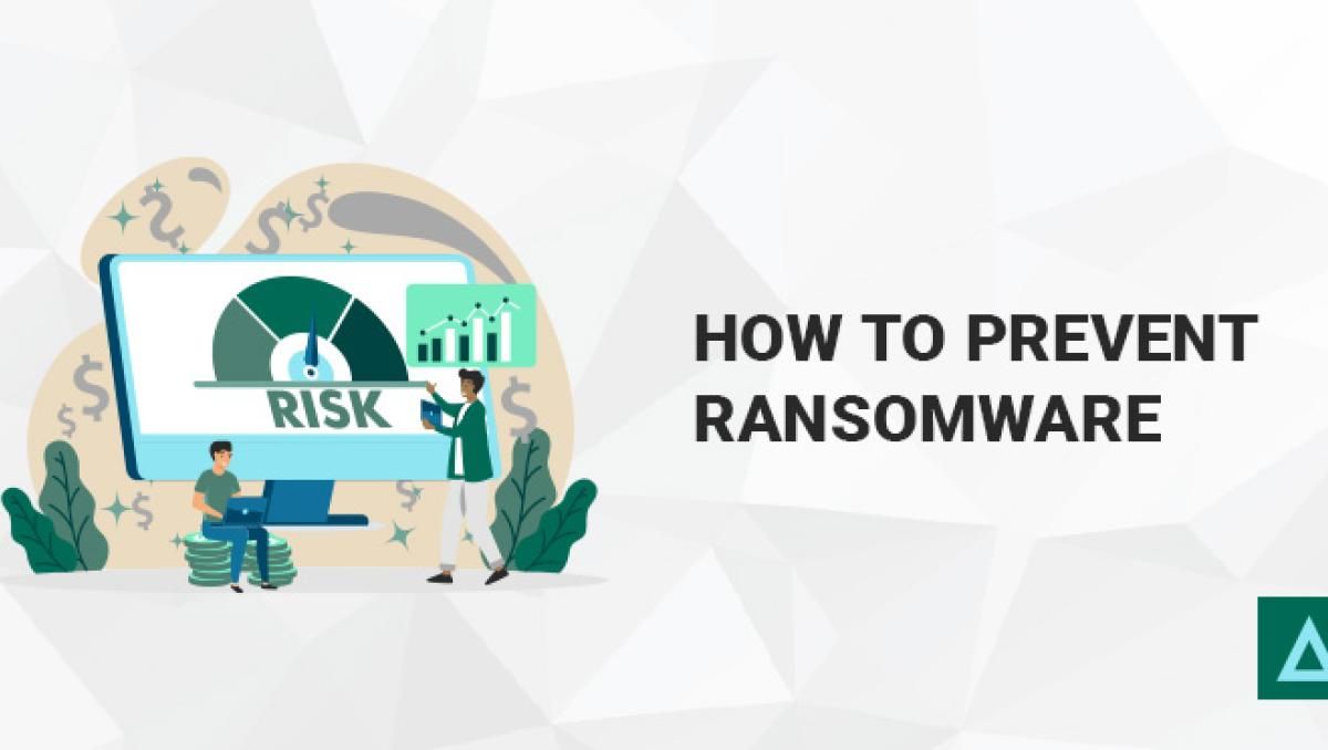 How To Prevent Ransomware| Terranova Security